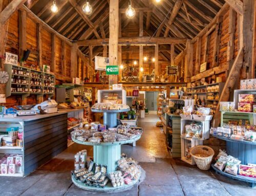 Blue Monkey: A Gourmet Paradise! | Blue Monkey Cornwall