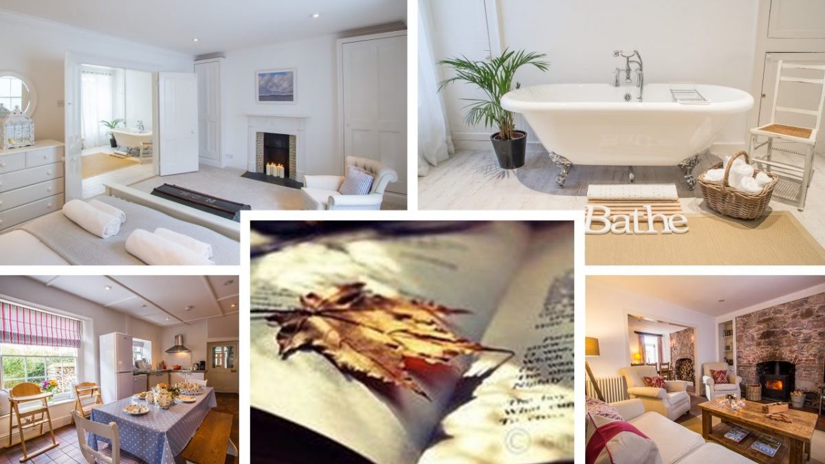 The Cawsand Hotel | Blue Monkey Cornwall.